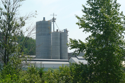 Estructura Productiva - Colacem